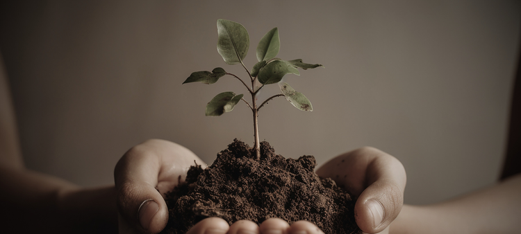 The Natal Promise: Comprehensive Birth Chart Analysis – elianacaille